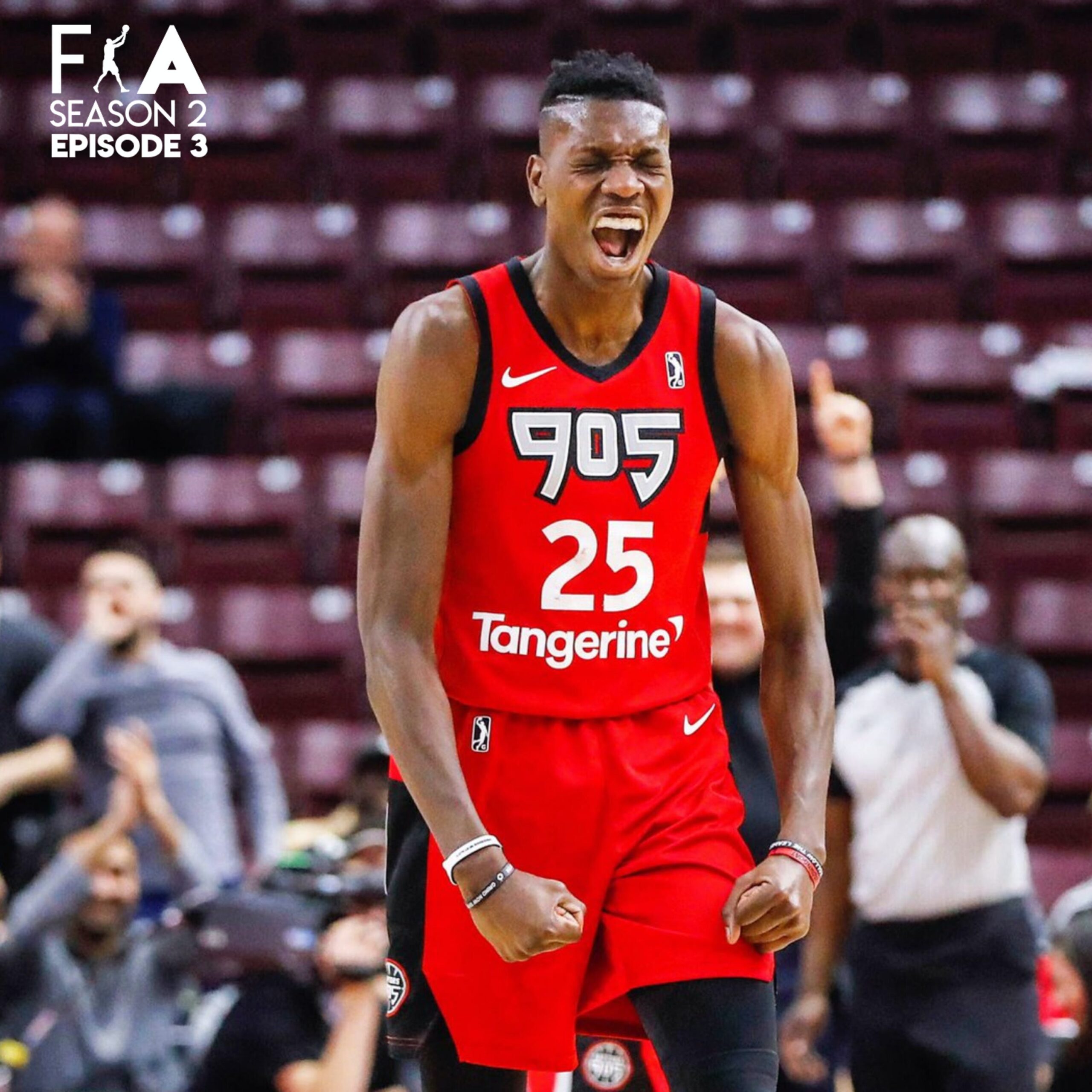 S2 E3 - Our first guest/Raptors season recap/Gordon Hayward injury/Dion ...